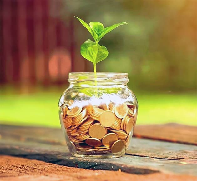 Term Deposits | Smart way to grow your money long term.